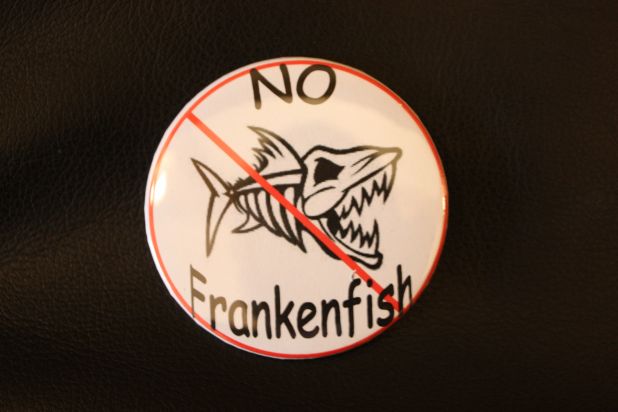 All Hail the Glorious Frankenfish! : The Mudflats | Interesting Things ...